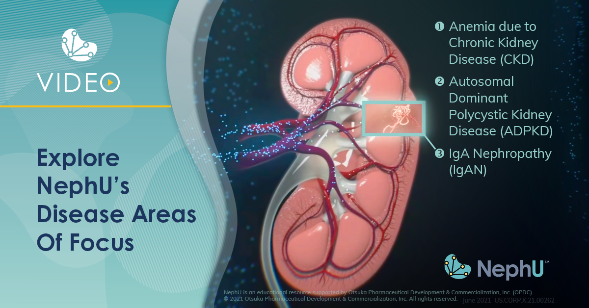 Explore NephU’s Disease Areas Of Focus - NephU