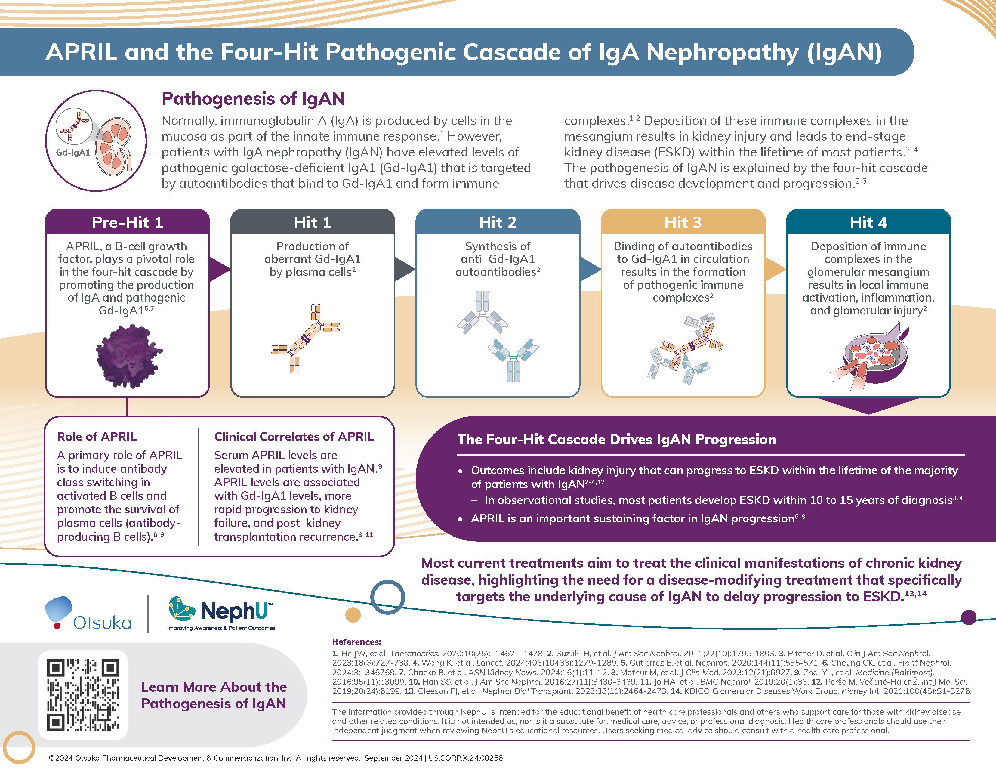 APRIL and the 4-Hit Pathogenic Cascade of IgAN - NephU
